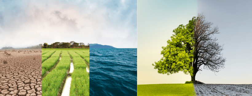 Climate Change | Carterton District Council