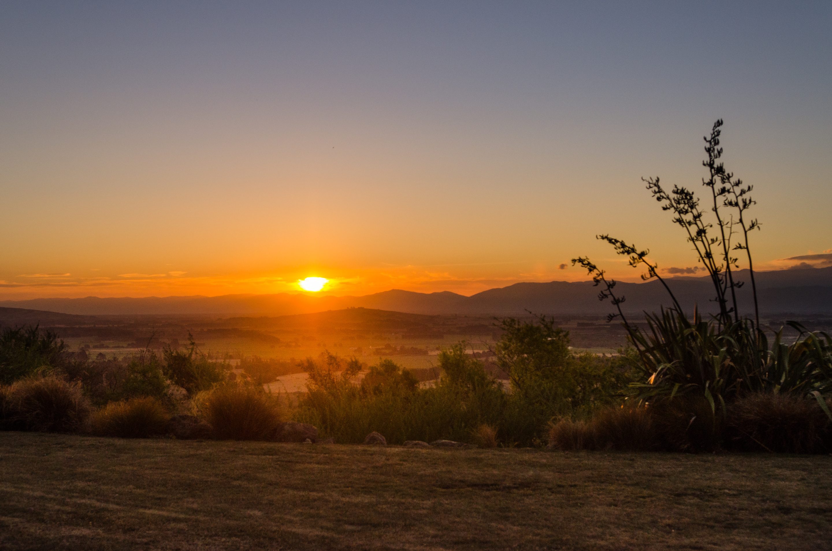 Councils consult on the Wairarapa Consolidated Bylaw | Carterton ...